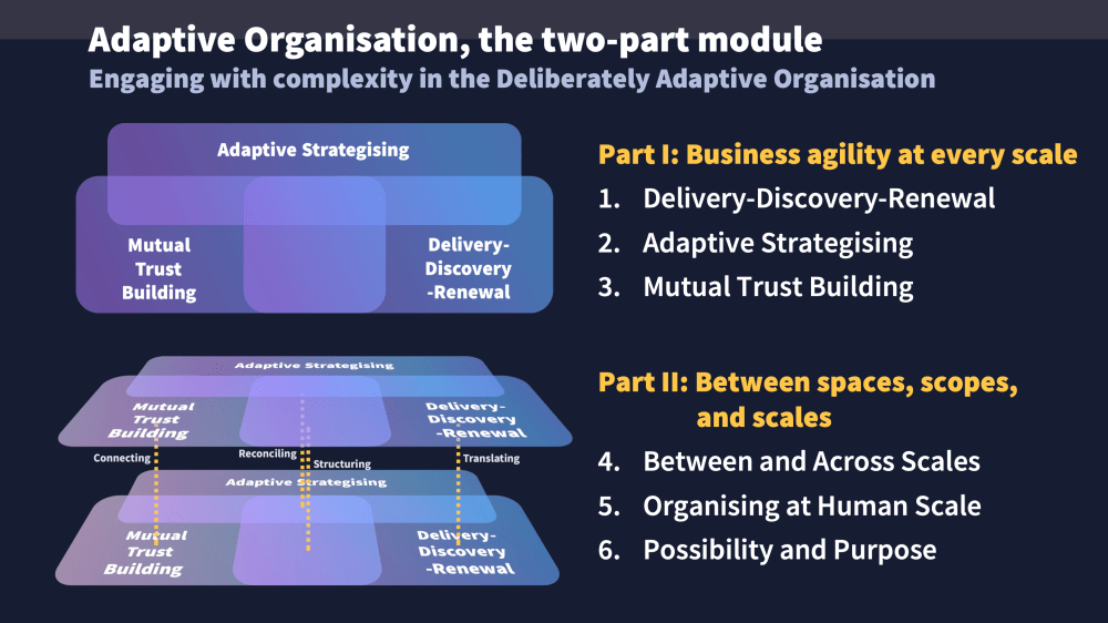 Adaptive Organisation (I): Business agility at every scale v2.0 beta ...
